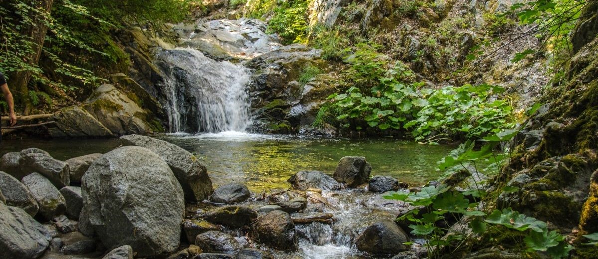 Ted Grantham: The Evolution of Environmental Flows in California ...