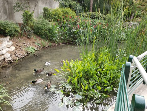 What’s Being Done to Restore Wetlands? – Central Valley Flood ...
