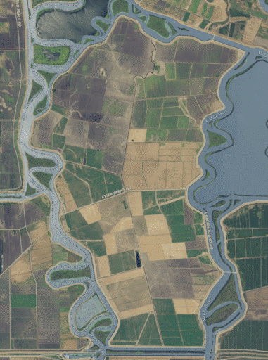 Feature: First Field-Based Assessment of Levee Risk in the Delta ...