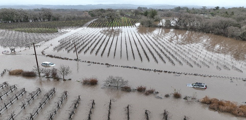 Odds Of El Niño Returning to California Are Increasing. Would it Bring Even More Rain? – Central ...