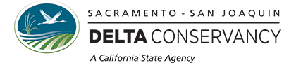 Delta Conservancy Board Approves $24 Million for Wetland Restoration, Community Access, and ...