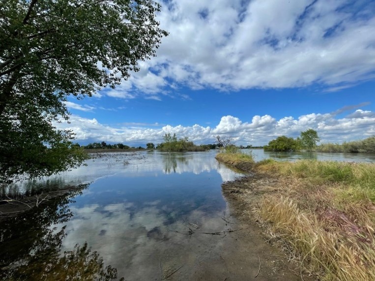Water Foundation Visit: Dos Rios Ranch Preserve – Central Valley Flood ...