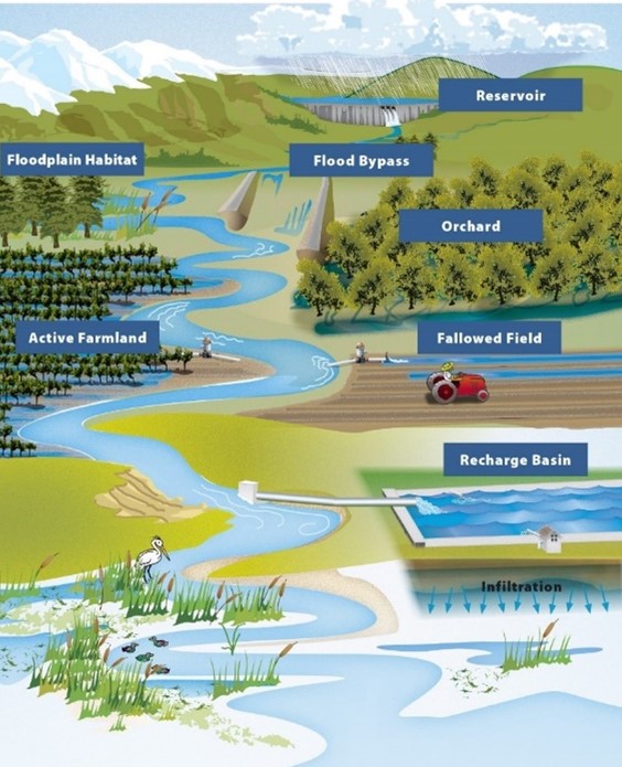 Floodplain Restoration and Recharge Pilot Studies – Evaluating the ...