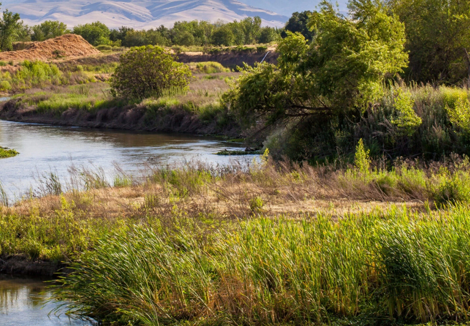 A Ranch, Rewilded: The Transformation of California’s Next State Park ...